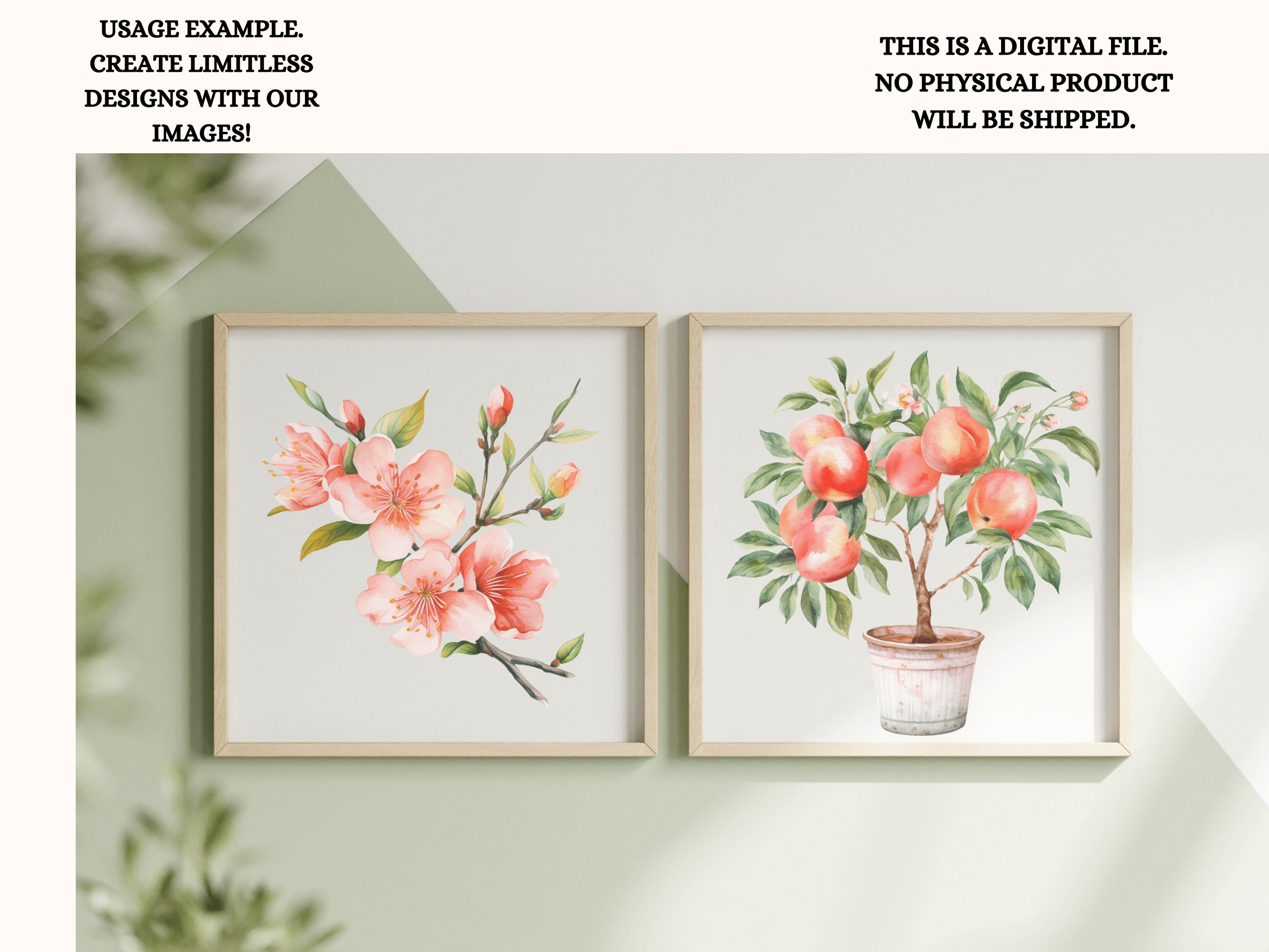 Peach Clipart, Fruit Watercolor Peach Flower and Tree Clip Art, Food ...