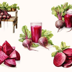Beetroot Clipart, Farm Vegetable Watercolor Beet Drink & Soup Art, Food ...
