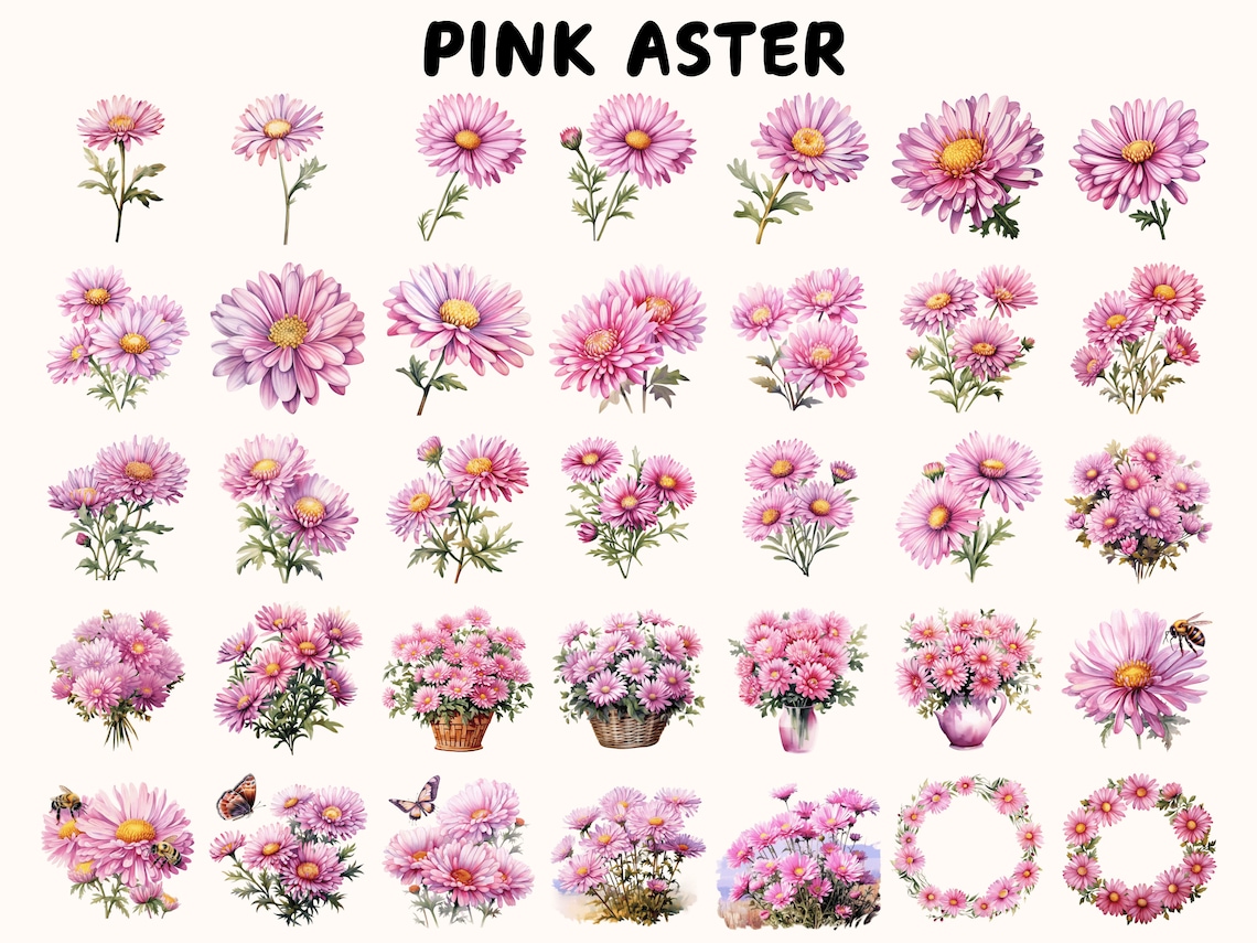Aster Clipart, Cute Wedding Spring Daisy Flower Watercolor Clip Art ...