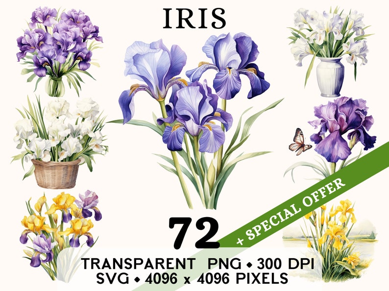 Iris Clipart, Cute Wedding Bouquet Flag Flower Watercolor Clip Art, Floral Sticker Mug and Shirt ...