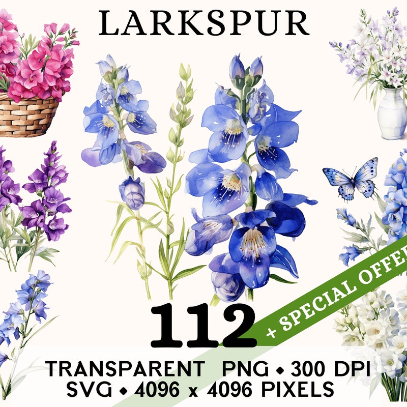 Watercolor Larkspur - Etsy UK