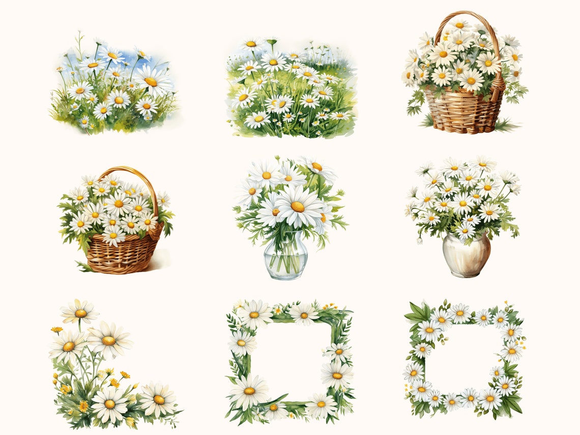 Daisy Clipart, Cute Flower Watercolor Marguerite Clip Art, Floral ...