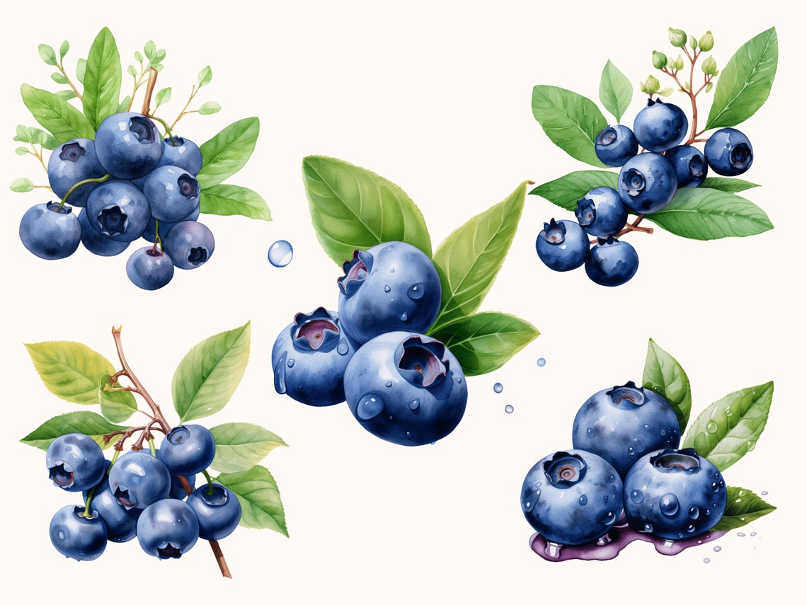 Blueberry Clipart, Fruit Watercolor Blueberry Clip Art, Forest Food ...