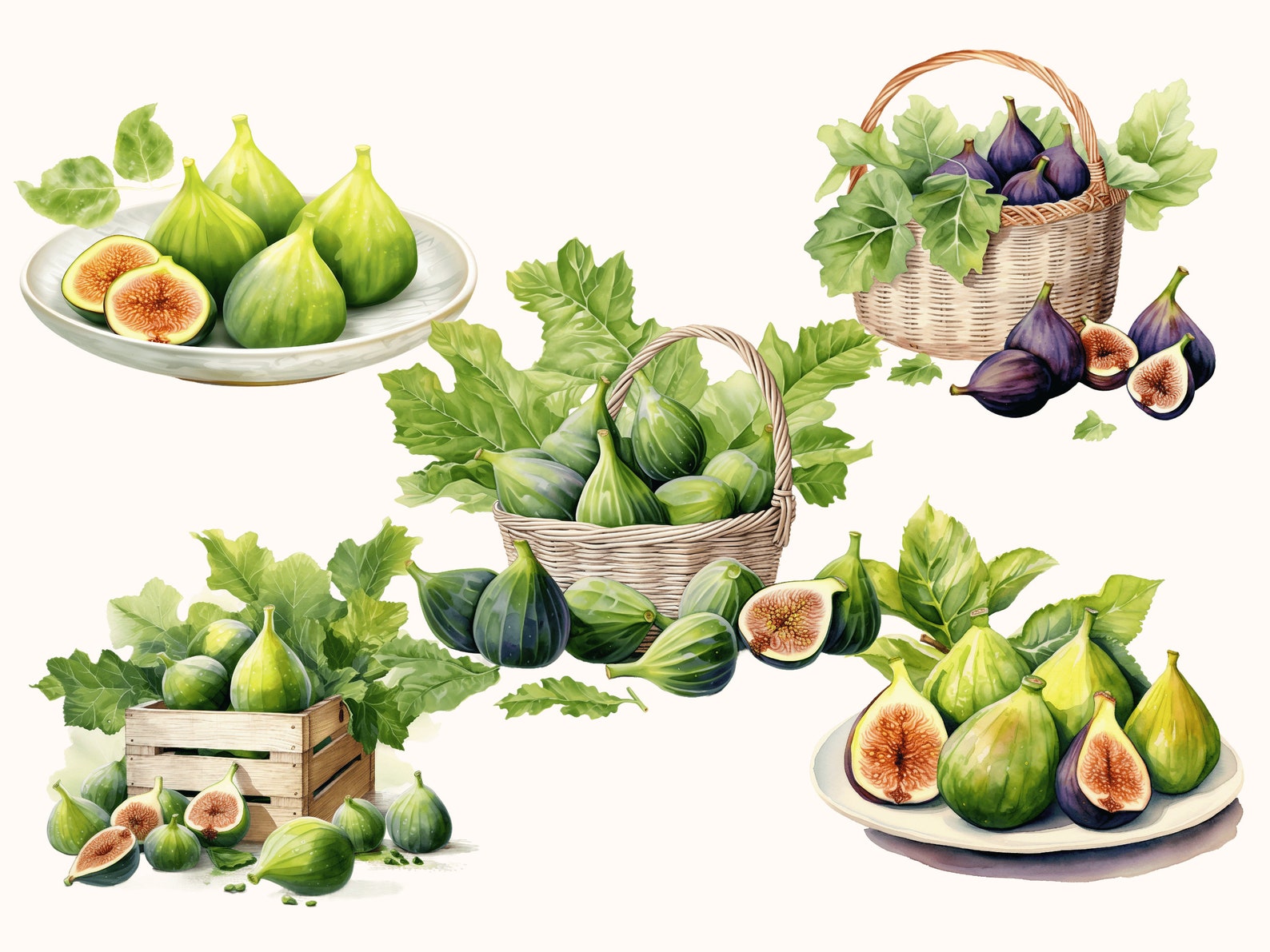 Fig Clipart, Fruit Watercolor Green Fig Tree Clip Art, Food Sticker Mug ...