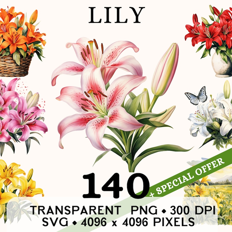 Lily Svg - Etsy