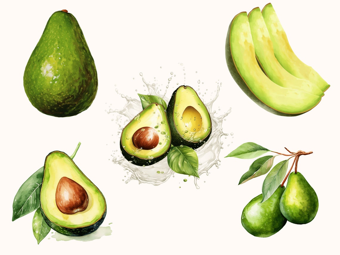 Avocado Clipart, Fruit Watercolor Avocado Basket Clip Art, Exotic Food ...