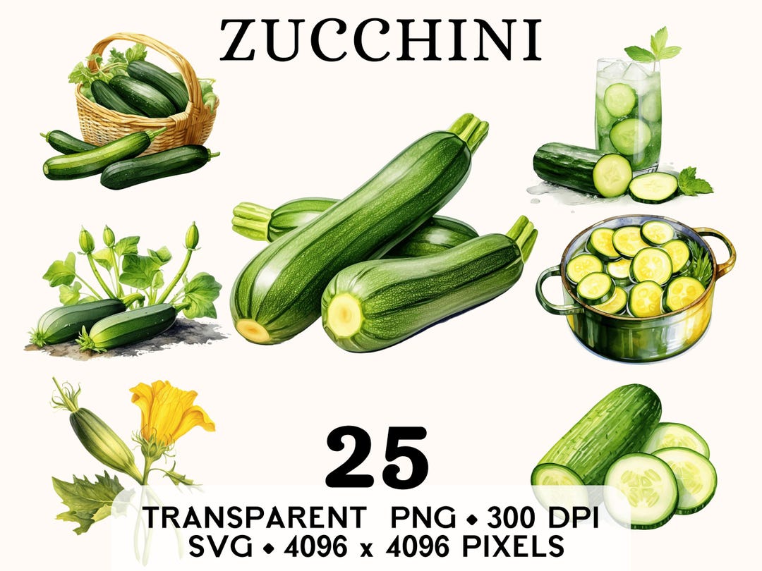 Zucchini Clipart, Farm Vegetable Watercolor Courgette Drink Clip Art ...