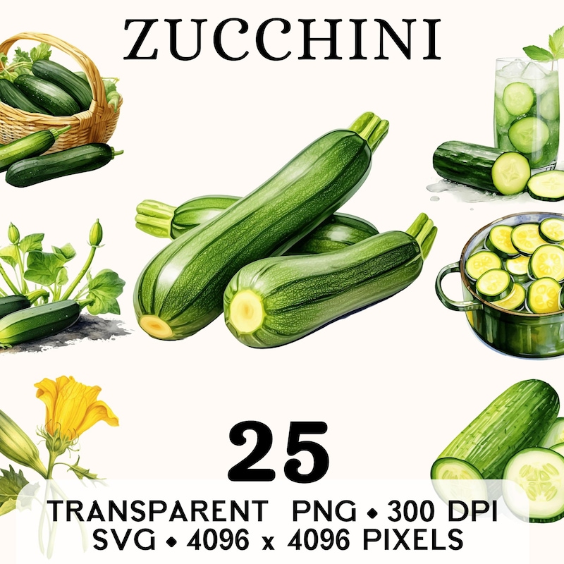 Zucchini Clip Art Digital - Etsy