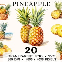 12 Pineapple Clipart, Summer Fruits Clipart, Tropical Pineapple Clipart ...