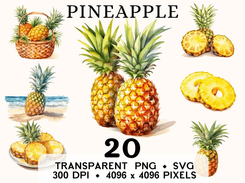 Pineapple Clipart, Fruit Watercolor Pineapple Basket Clip Art, Food ...