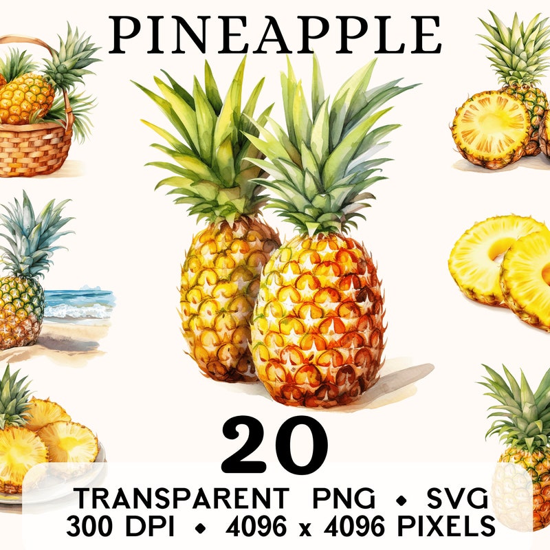 Pineapple Clip Art - Etsy