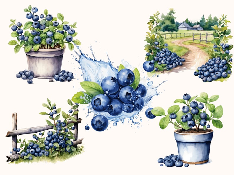 Blueberry Clipart, Fruit Watercolor Blueberry Clip Art, Forest Food ...