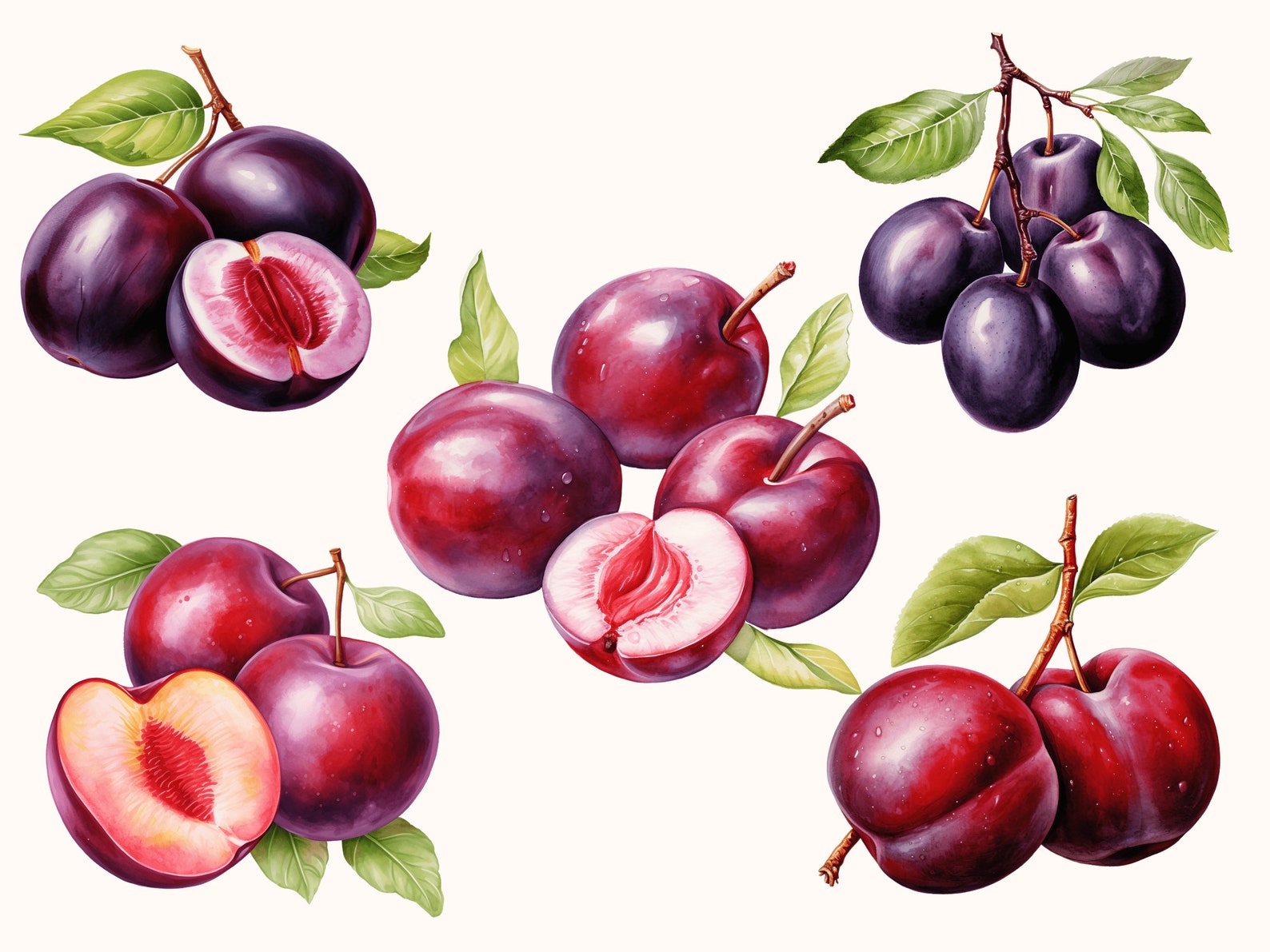 Plum Clipart, Fruit Watercolor Red Plum Flower and Tree Clip Art, Food ...