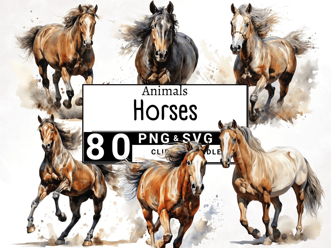 Watercolor Horse Clipart Bundle, Western Farm Animal Horse Portrait ...