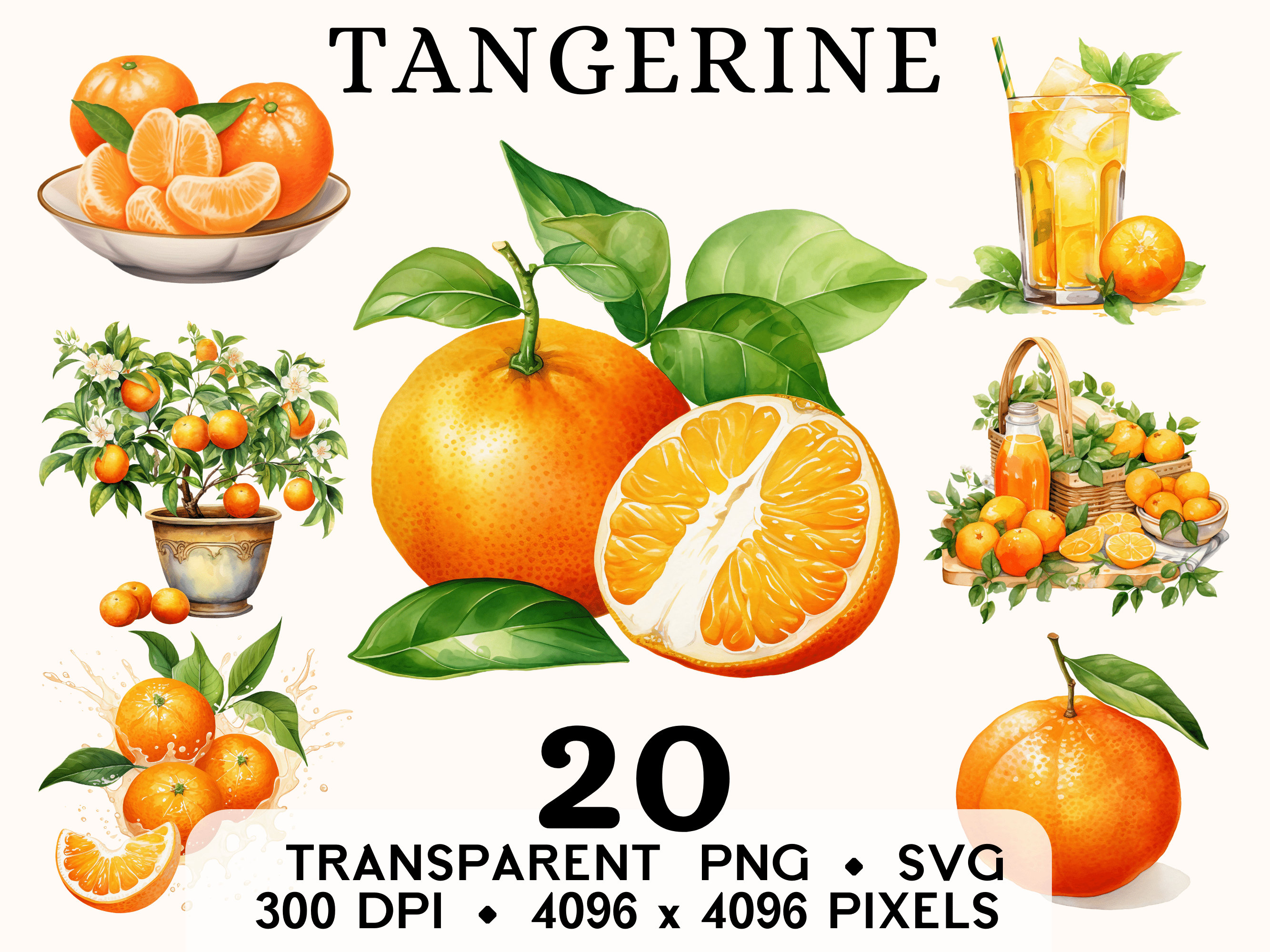 Tangerine Clipart, Fruit Watercolor Clementine Clip Art, Exotic Food ...