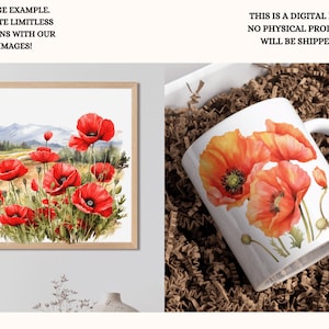 Poppy Clipart, Cute Spring Red Wild Flower Watercolor Clip Art, Floral ...