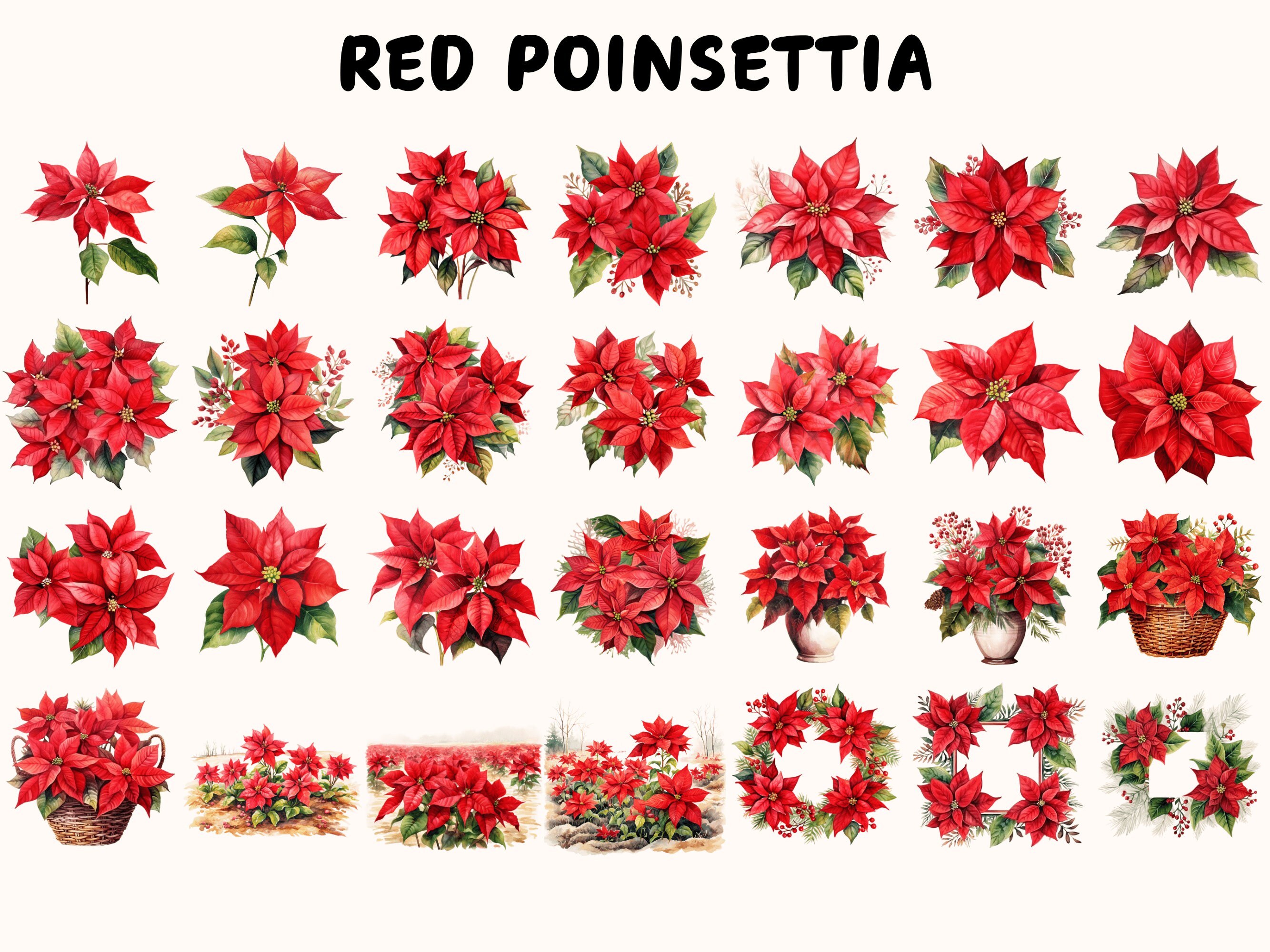 Poinsettia Clipart, Cute Christmas Flower Watercolor Clip Art, Floral ...