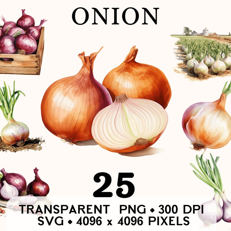 Pictures of Food Baskets - Etsy