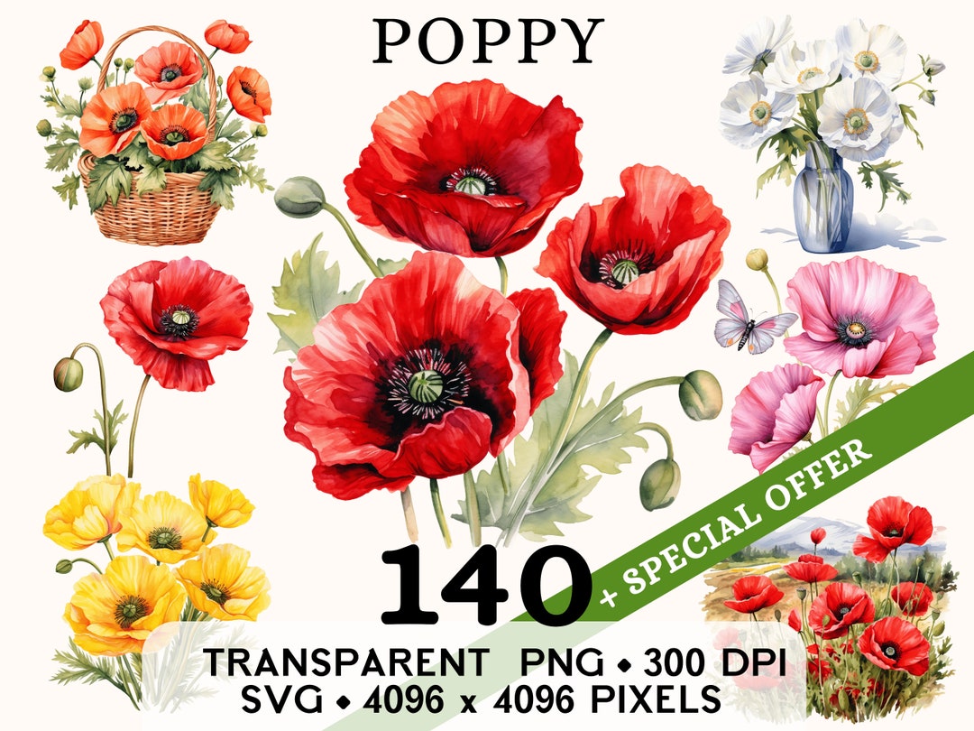 Poppy Clipart, Cute Spring Red Wild Flower Watercolor Clip Art, Floral ...