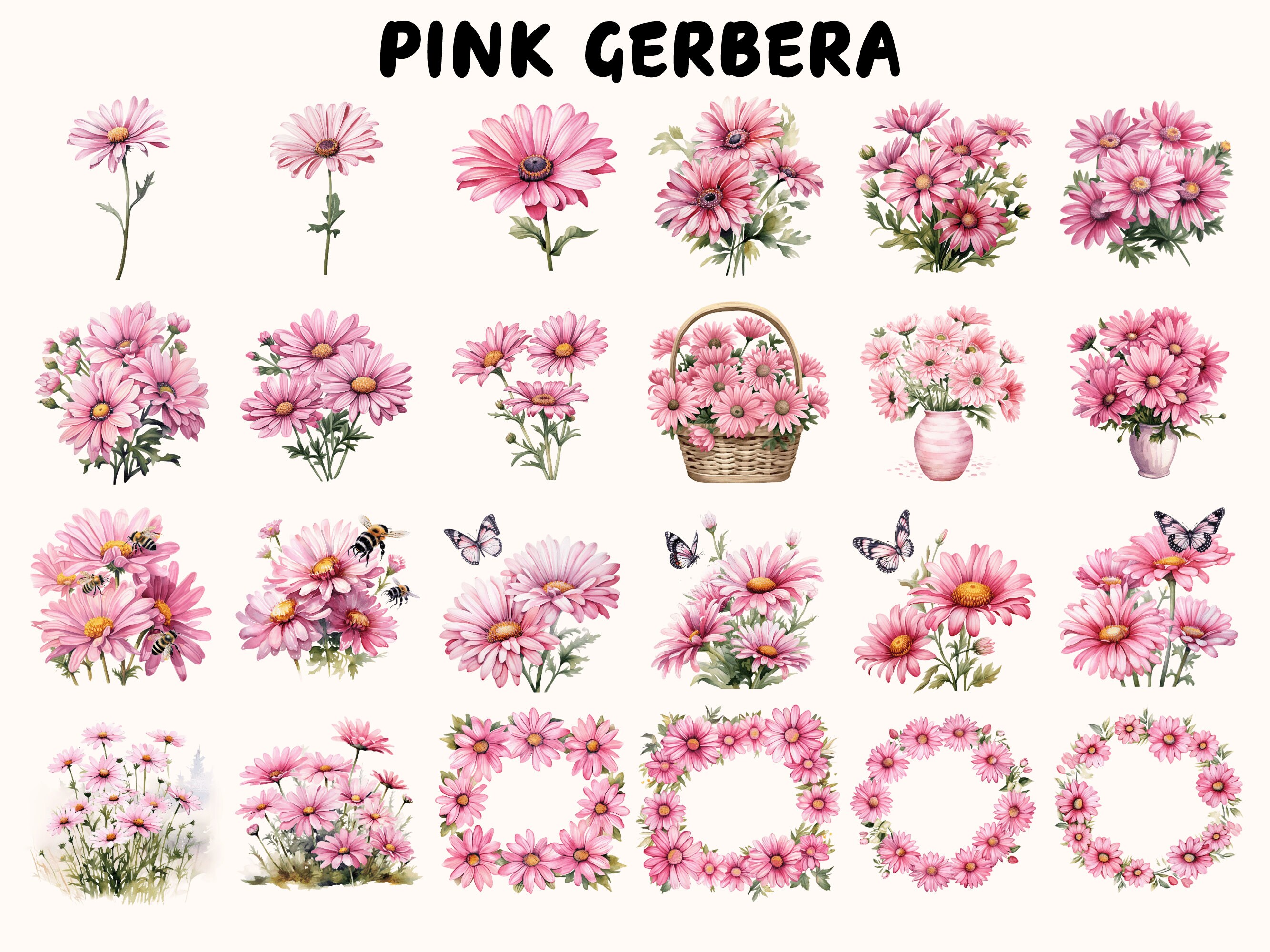 Gerbera Daisy Clipart, Cute Pink Red Flower Watercolor Clip Art, Floral ...