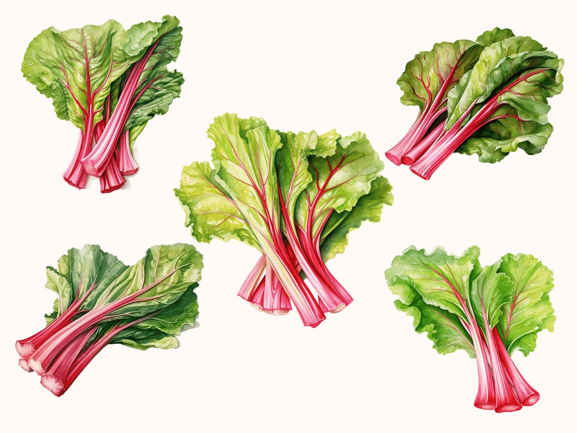 Rhubarb Clipart, Sweet Pie Vegetable Watercolor Health Drink Clip Art ...