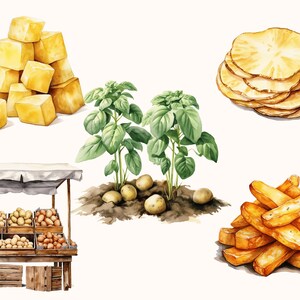 Potato Clipart, Farm Vegetable Watercolor French Fries Clip Art, Food ...