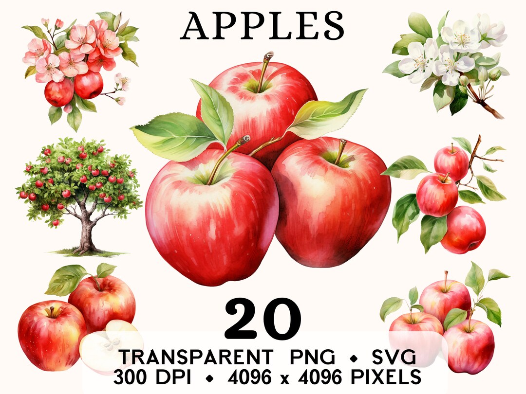 Apple Clipart, Fruit Watercolor Apple Flower and Tree Clip Art, Food ...