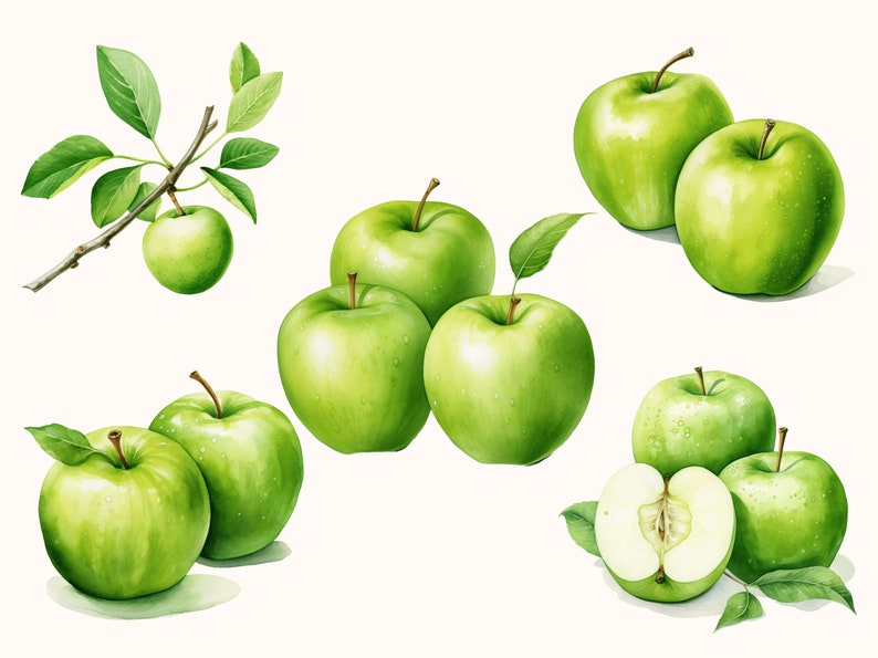 Green Apple Clipart, Fruit Watercolor Smith Apple Flower Clip Art, Food ...