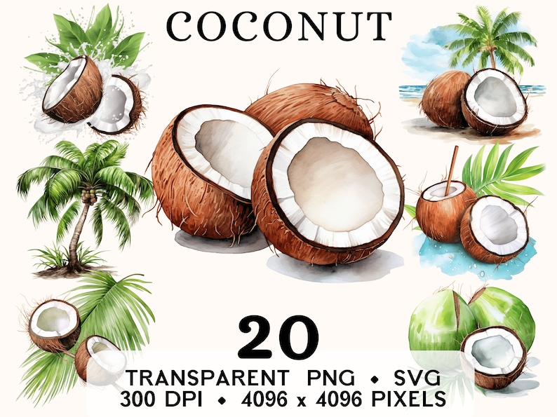 Coconut Clipart, Fruit Watercolor Coconut Drink Clip Art, Food Sticker ...