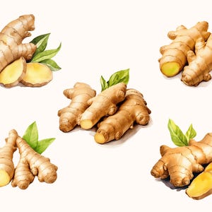 Ginger Clipart, Farm Vegetable Watercolor Gingerbread Man Clip Art ...