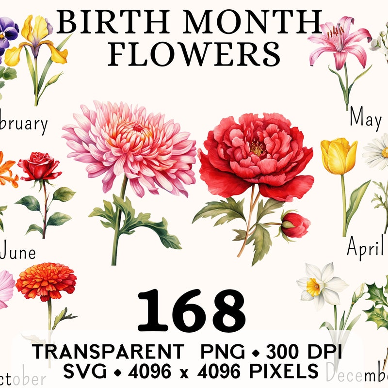 Daisy Birth Flower Mug - Etsy