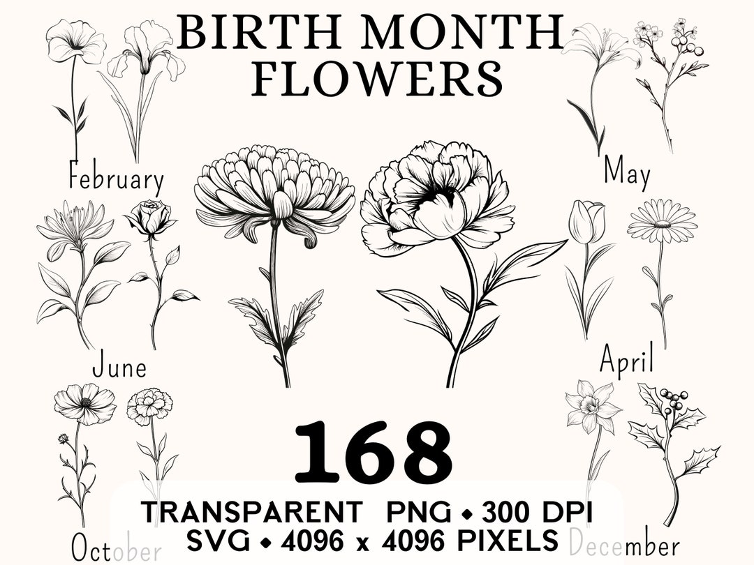 Birth Month Flower Clipart, Floral Spring Art Line Daisy Clip Art ...