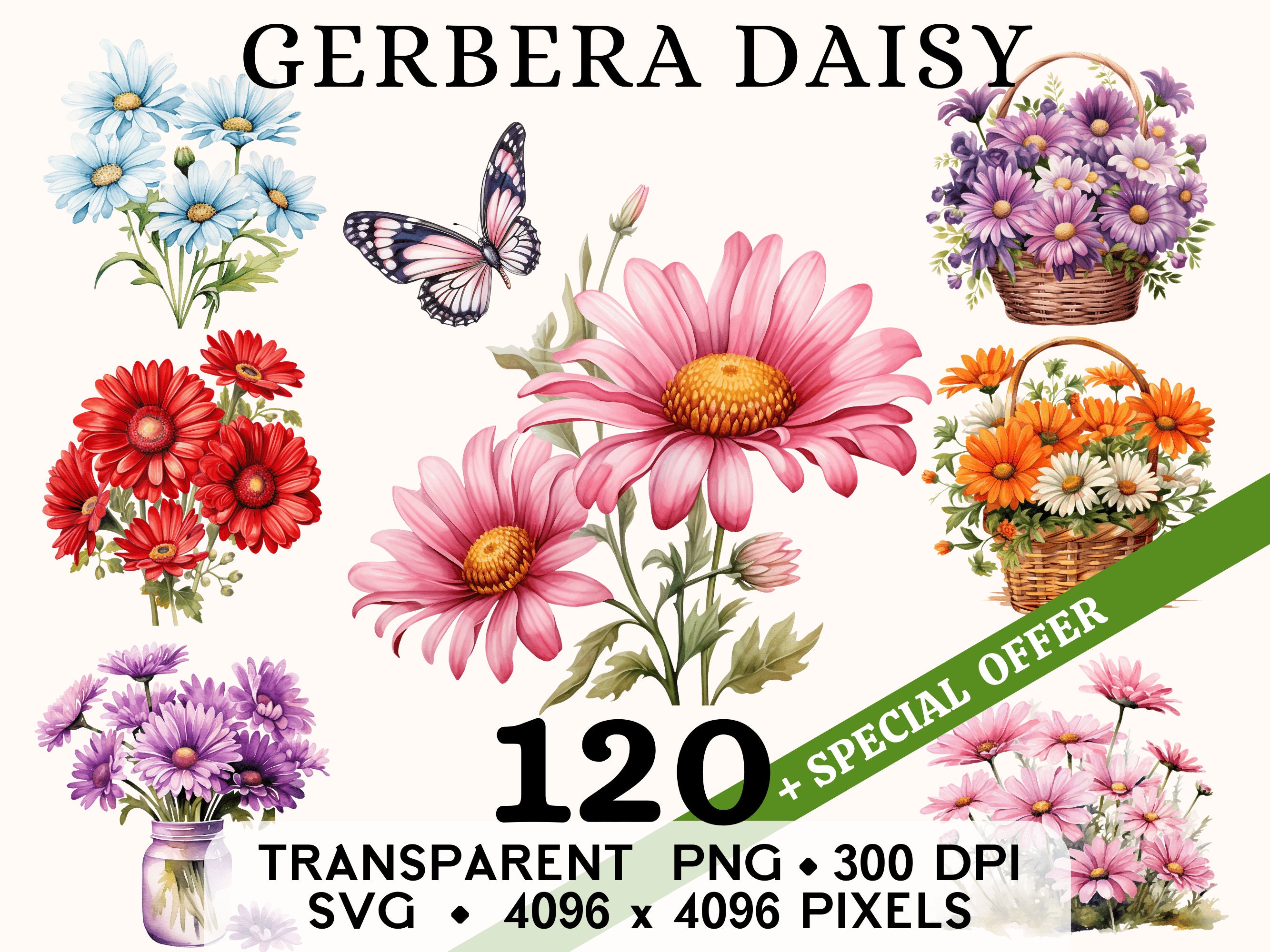 Gerbera Daisy Clipart, Cute Pink Red Flower Watercolor Clip Art, Floral ...