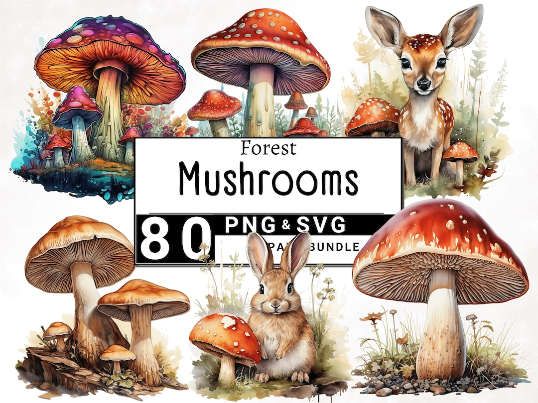 Forest Mushroom Clipart, Realistic Clip Art, Psychedelic Watercolor ...
