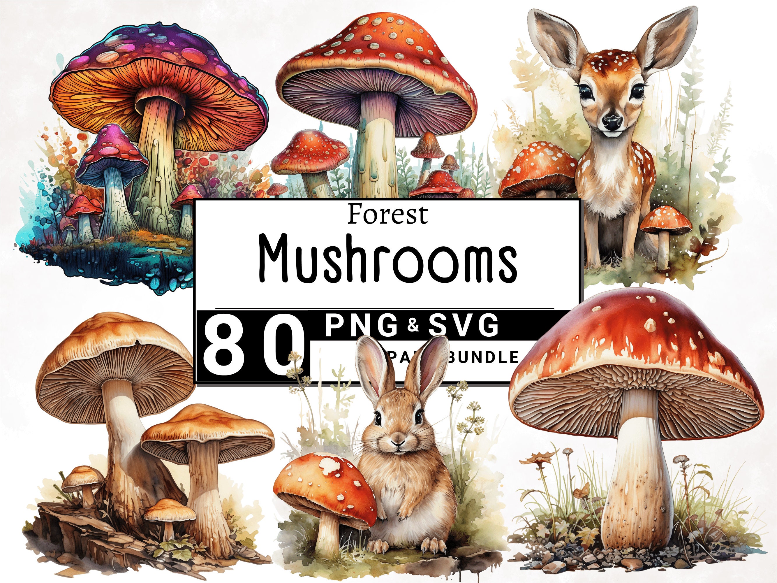 Forest Mushroom Clipart Realistic Clip Art Psychedelic - Etsy