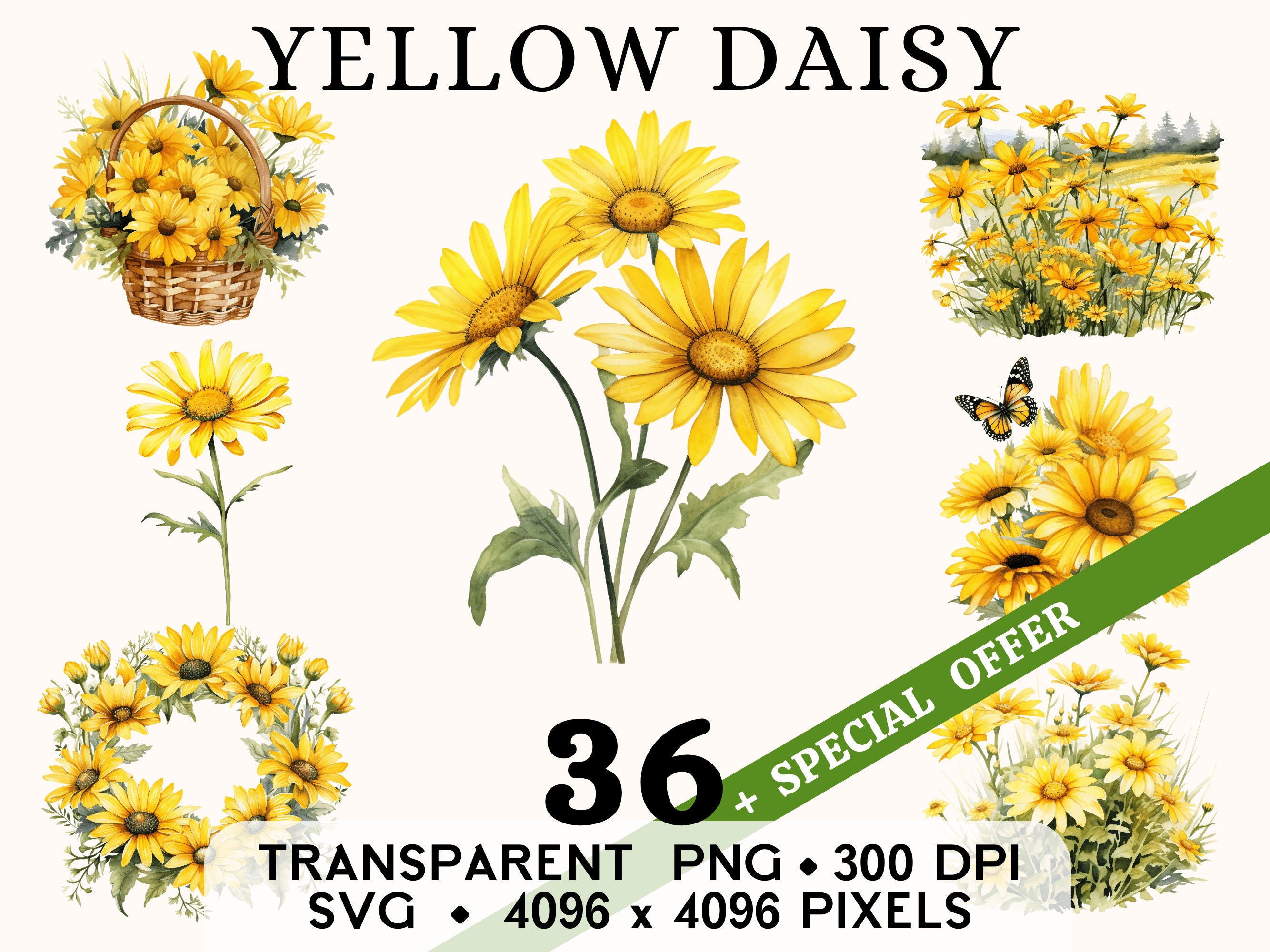 Yellow Daisy Clipart, Cute Flower Watercolor Marguerite Clip Art ...