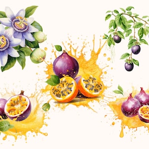 Passion Fruit Clipart, Fruit Watercolor Yellow Maracuja Clip Art, Food ...