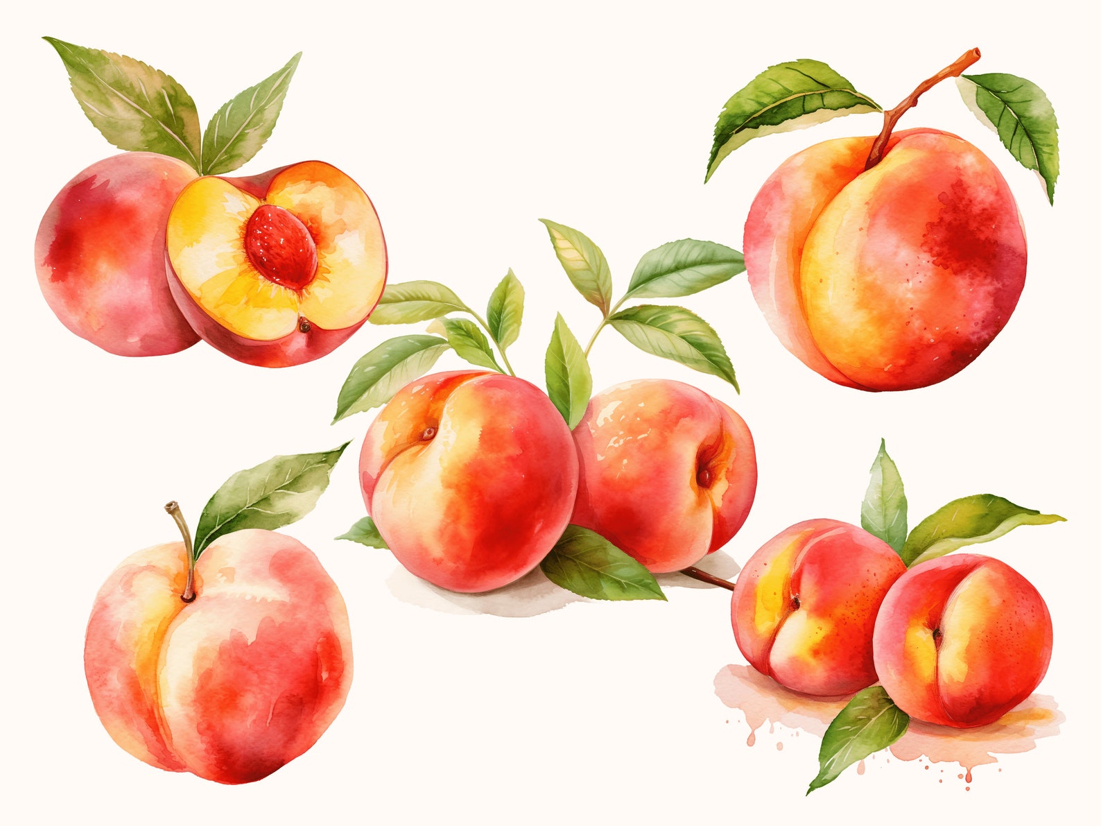 Peach Clipart, Fruit Watercolor Peach Flower and Tree Clip Art, Food ...