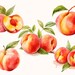 Peach Clipart, Fruit Watercolor Peach Flower and Tree Clip Art, Food ...
