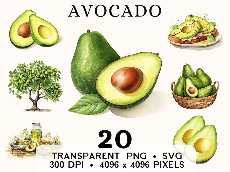 Avocado Clipart, Fruit Watercolor Avocado Basket Clip Art, Exotic Food ...