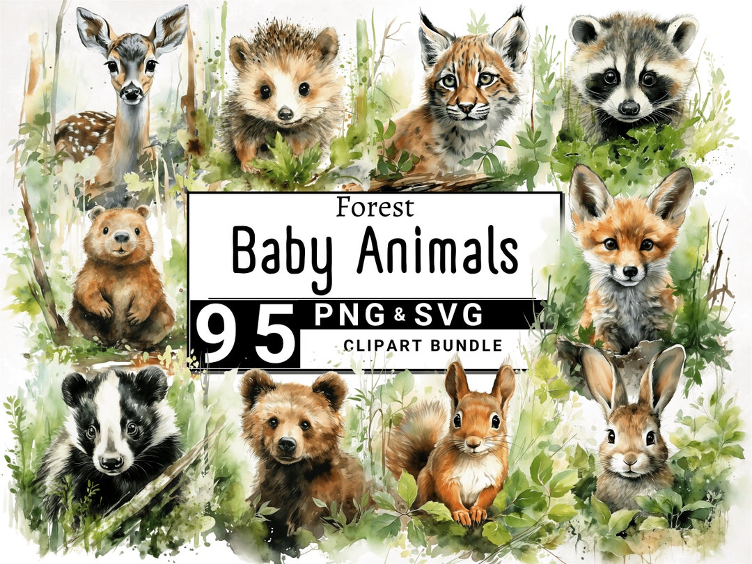 Forest Baby Animals Clipart, Cute Woodland Watercolor Clip Art, Nursery ...