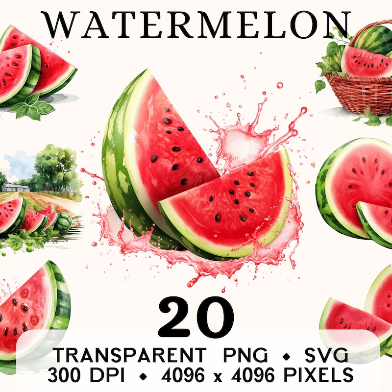 Watermelon Baskets - Etsy