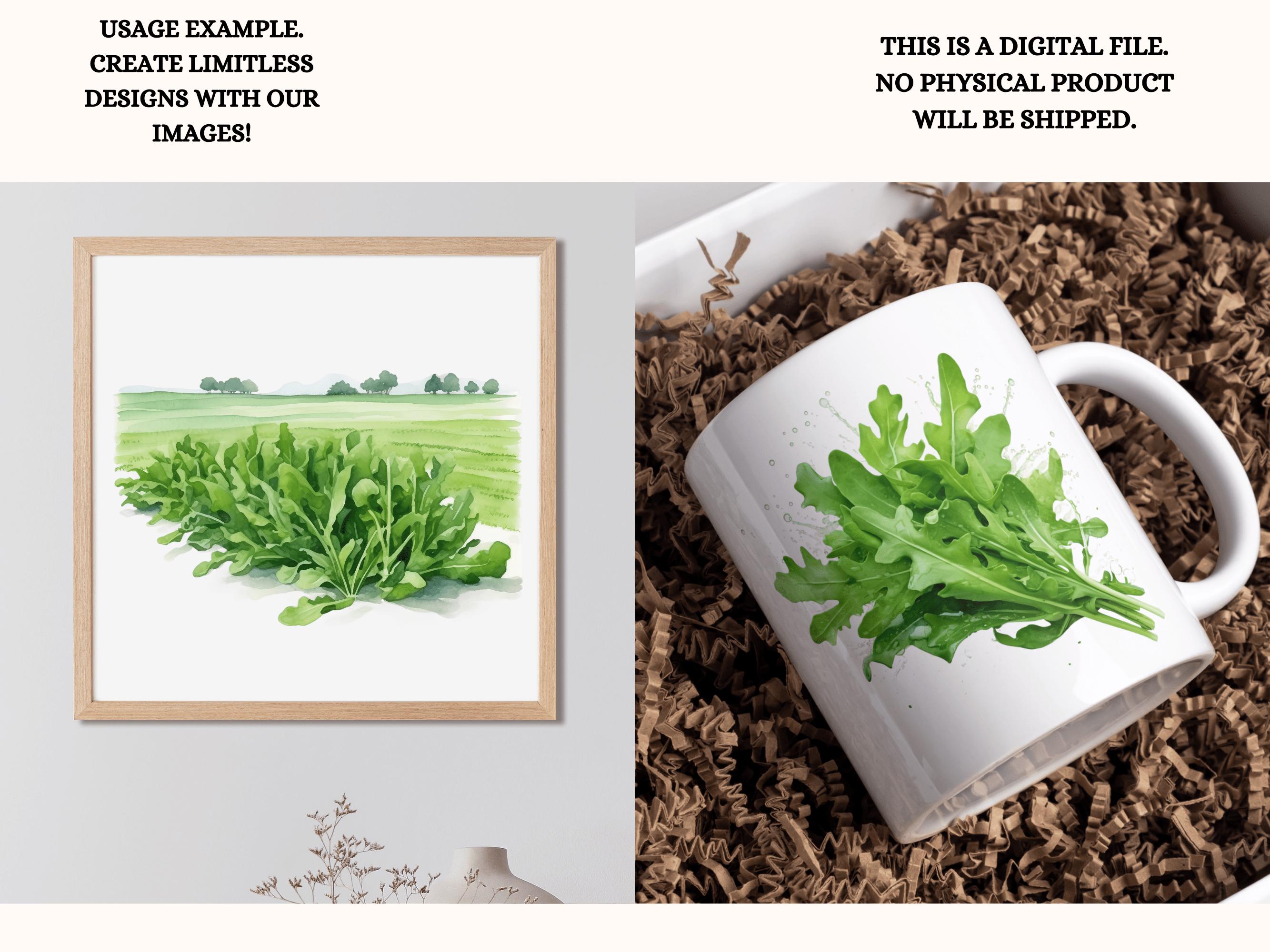 Arugula Clipart, Farm Eruca Vegetable Watercolor Rucola Leaf Art, Food ...
