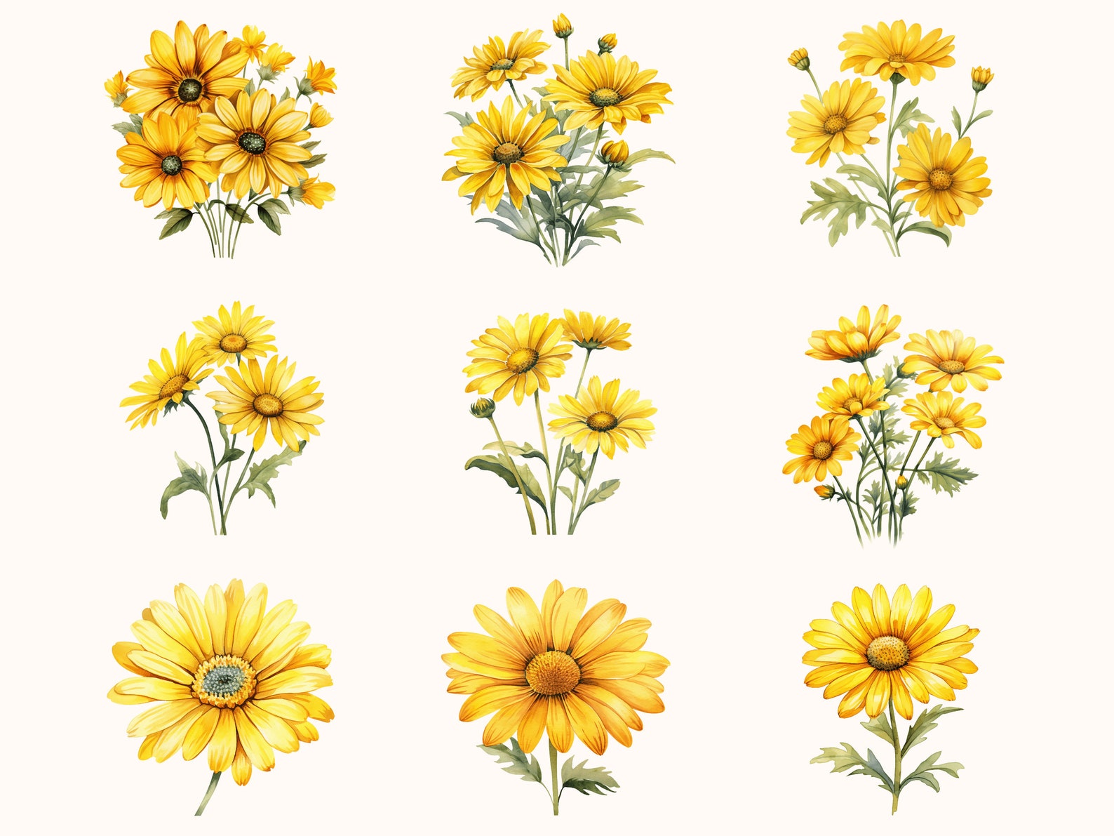 Yellow Daisy Clipart, Cute Flower Watercolor Marguerite Clip Art ...