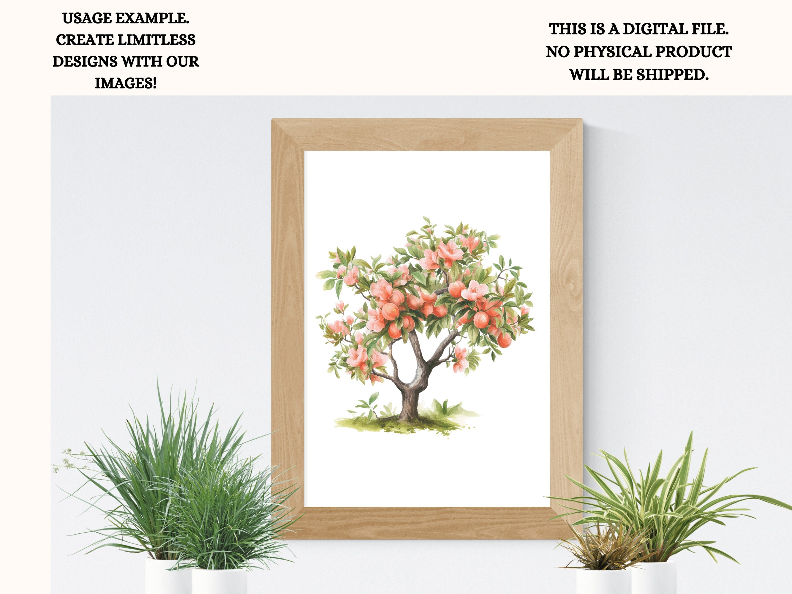 Peach Clipart, Fruit Watercolor Peach Flower and Tree Clip Art, Food ...