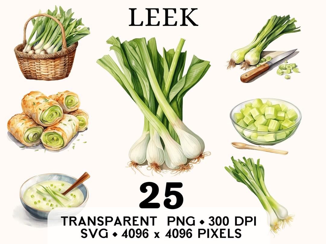 Garden Leek Clipart, Farm Vegetable Watercolor Wild Leek Clip Art, Food ...
