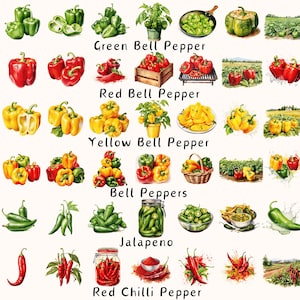 Bundle Vegetables Clipart, Vegetable Watercolor Veggie & Fruit, Farm ...