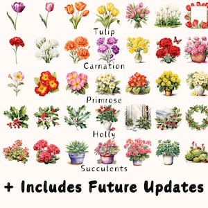 Flower Clipart Bundle, Cute Spring Flower Watercolor Clip Art, Floral ...