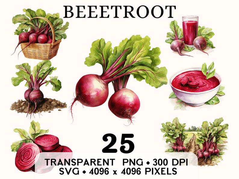 Beetroot Clipart, Farm Vegetable Watercolor Beet Drink & Soup Art, Food ...