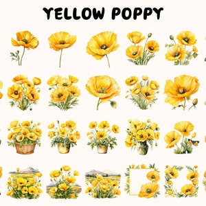 Poppy Clipart, Cute Spring Red Wild Flower Watercolor Clip Art, Floral ...